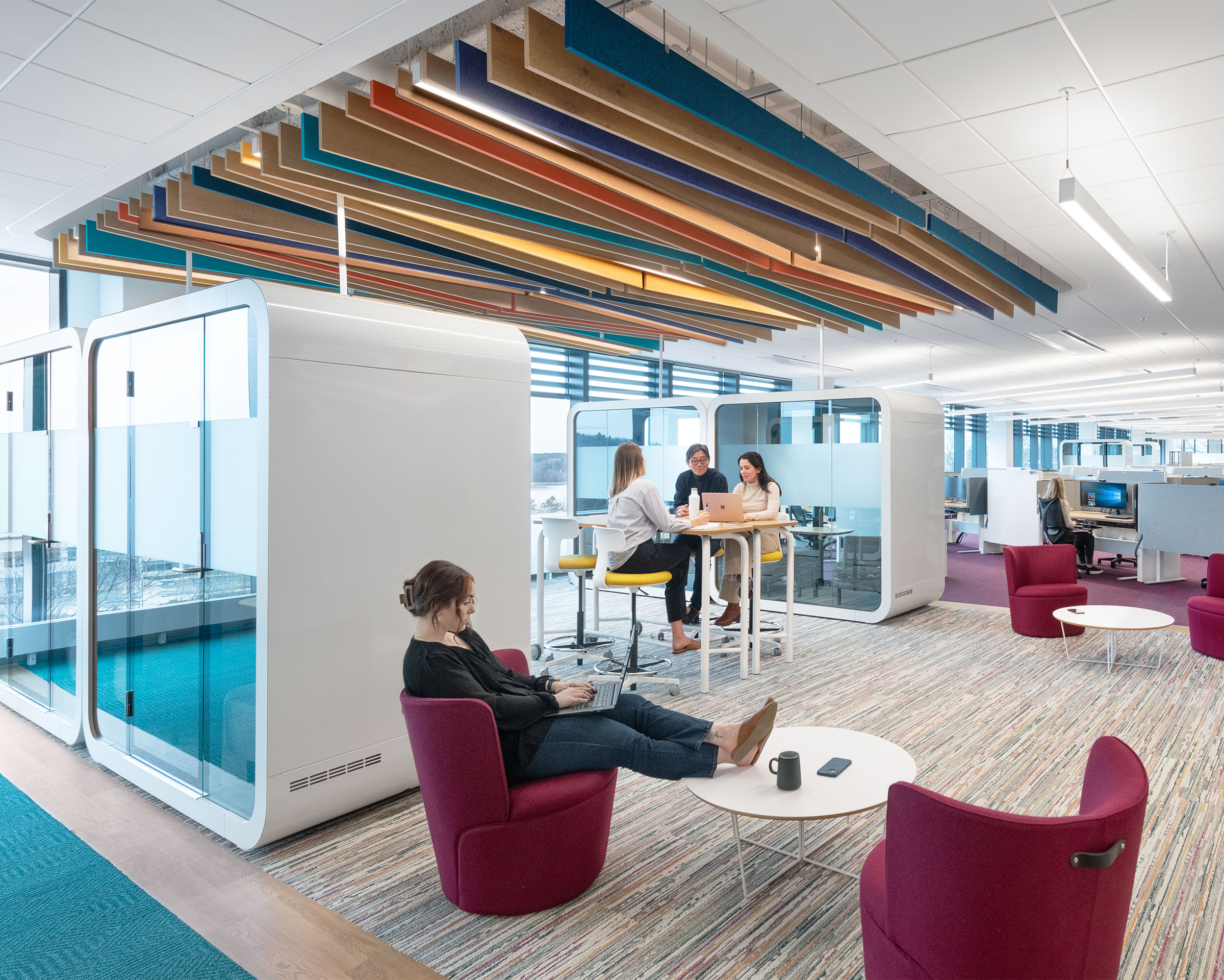 Pega Systems - Acoufelt