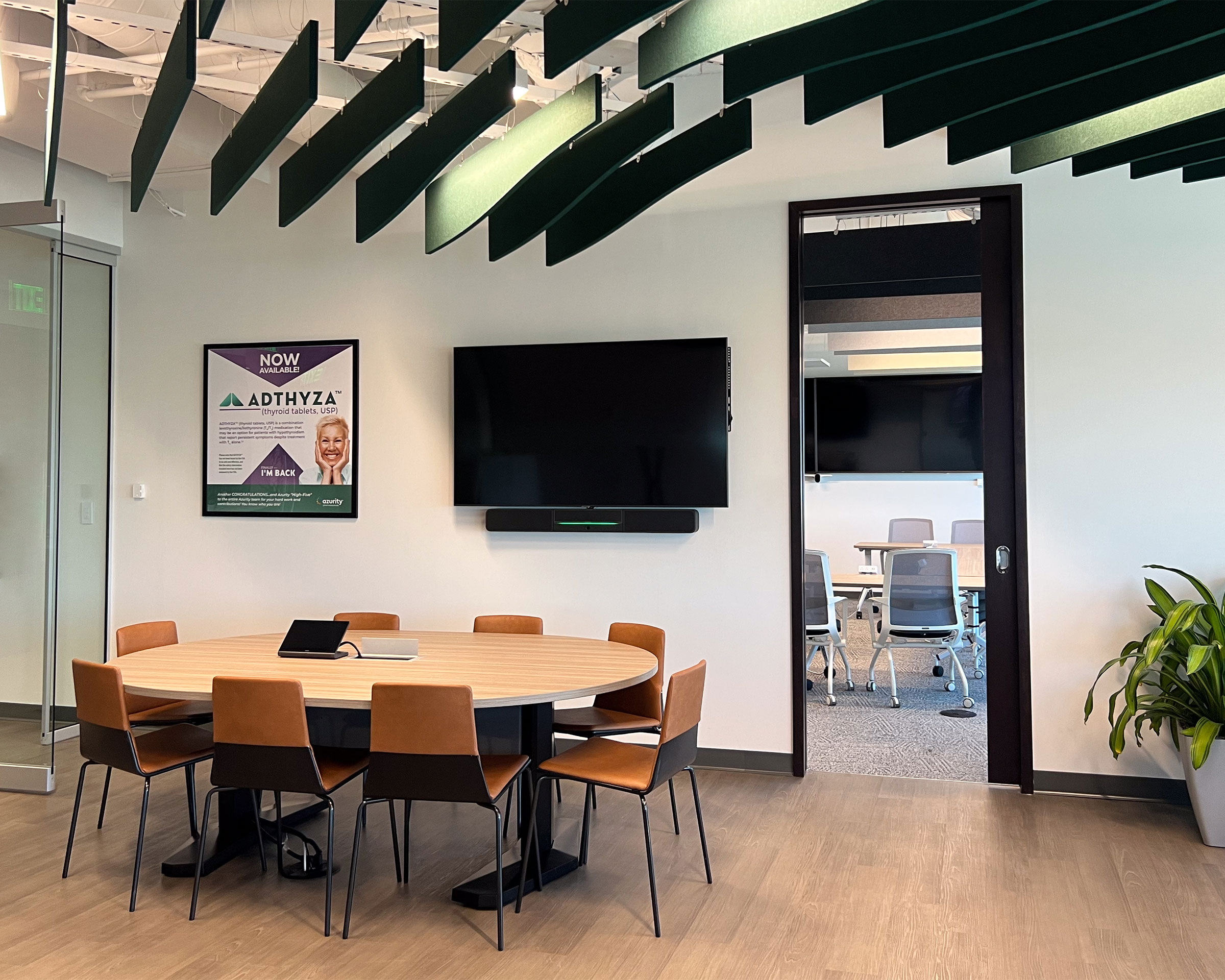 Azurity Pharmaceuticals - Acoufelt