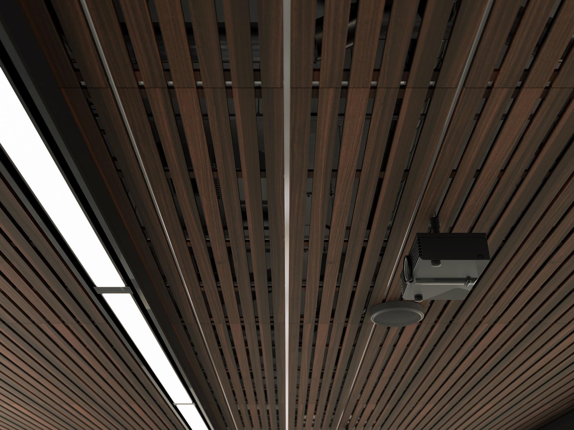 Rafter Ceiling Frames - WoodGrain