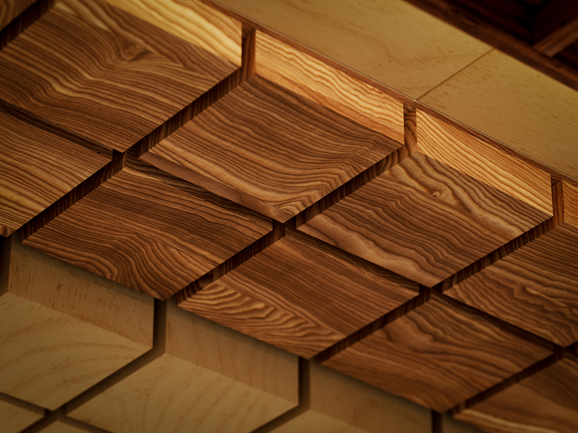 Desert Vista Ceiling Frame - WoodGrain